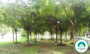 Ara Damansara Park, Petaling Jaya: Photos, Walks, All You Need To Know ...