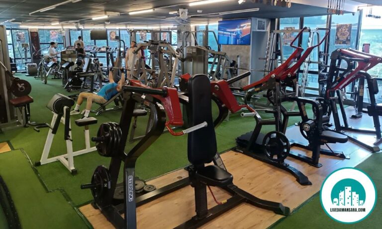 Gym Kota Damansara: Best Fitness Gyms In Petaling Jaya [2025] | Live ...